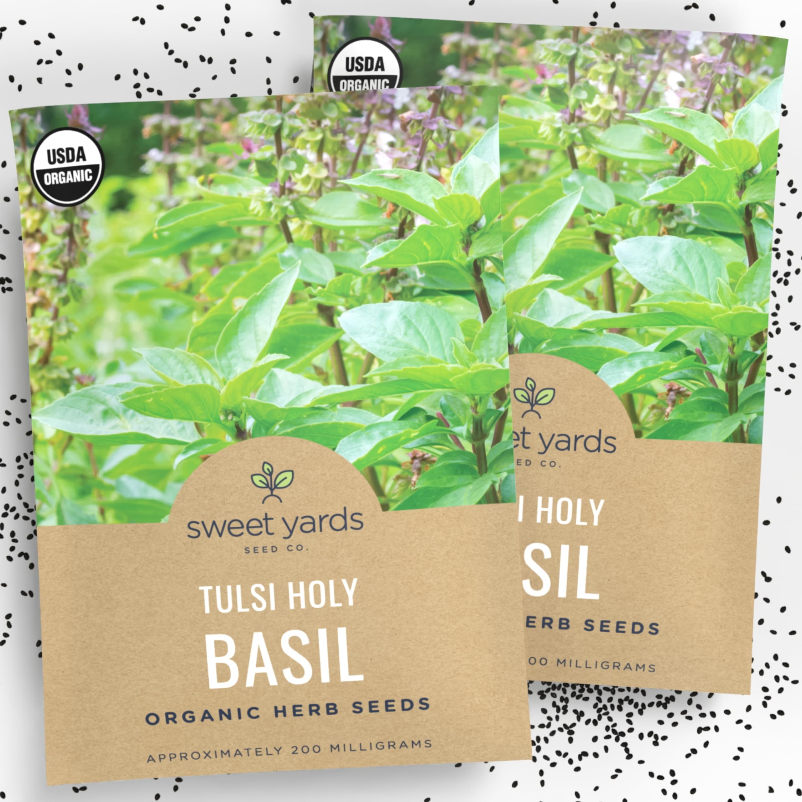 Organic Holy Basil TWE5 Seeds ‘Tulsi’ - Two Seed Packets! - Over 1,550 ...