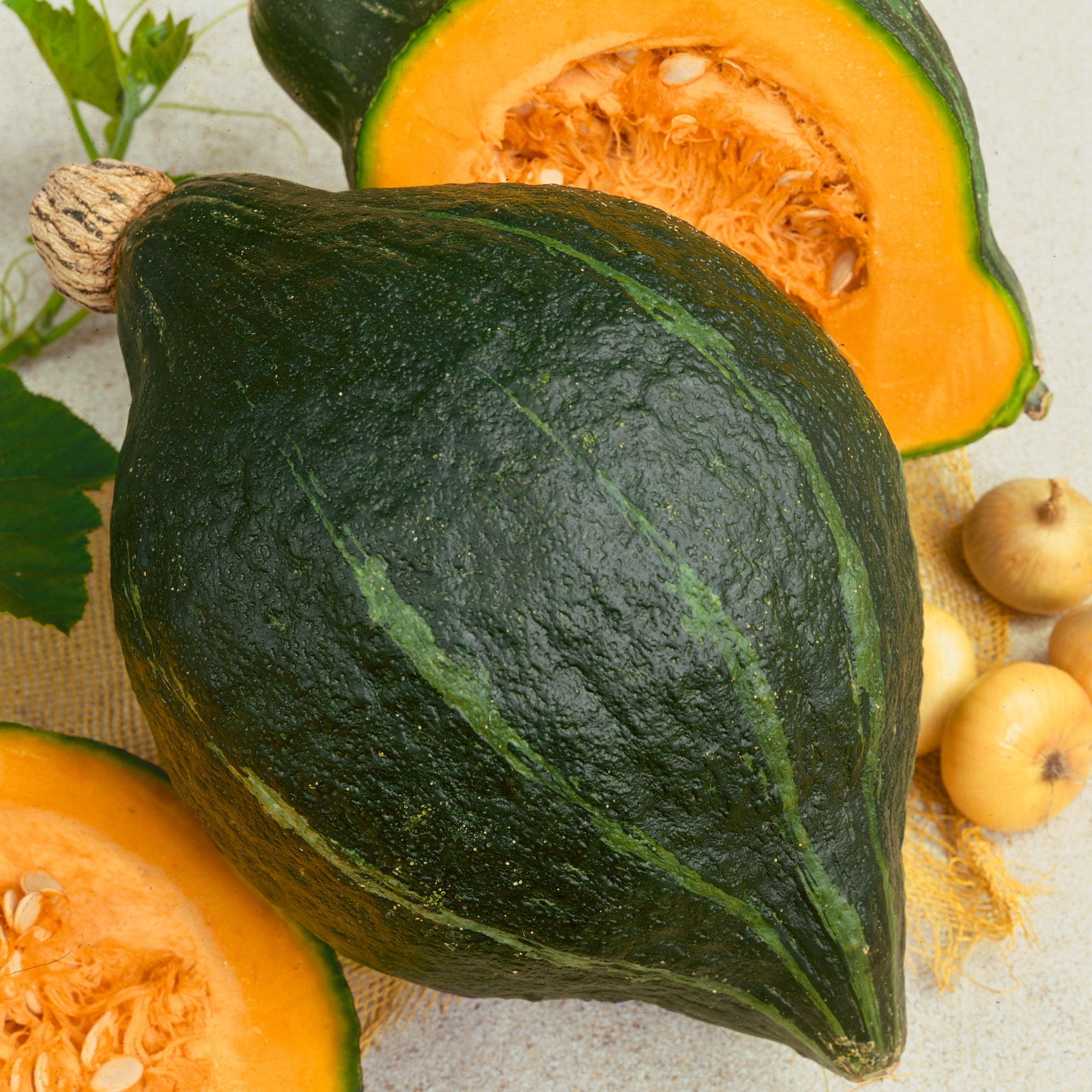 Organic Hubbard Baby Green Winter Squash Seeds - 4 g Packet ~25 Seeds ...
