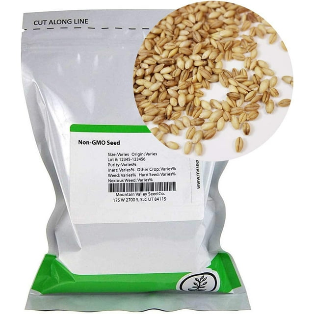Organic Hulless Sprouting Barley - 25 Lb - Non-GMO Barley Seed - Husk ... Organic Hulless Sprouting Barley - 25 Lb - Non-GMO Barley Seed - Husk ...