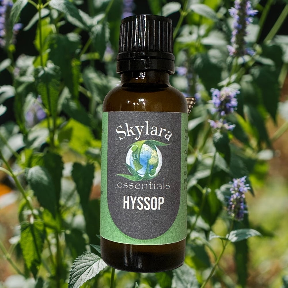 Organic Hyssop Essential Oil - Pure and Therapeutic Grade - Walmart.com