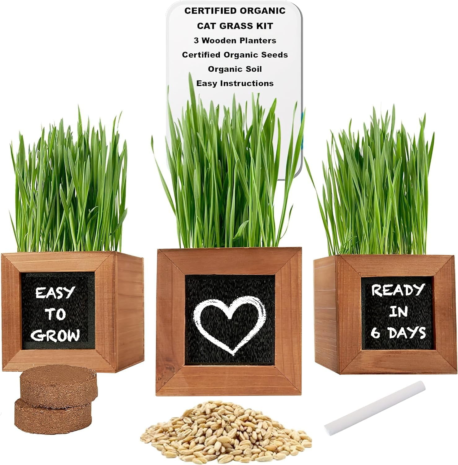 Organic Indoor Cat Grass Kit - 3 Wooden Planters, Certified Seeds, and ...