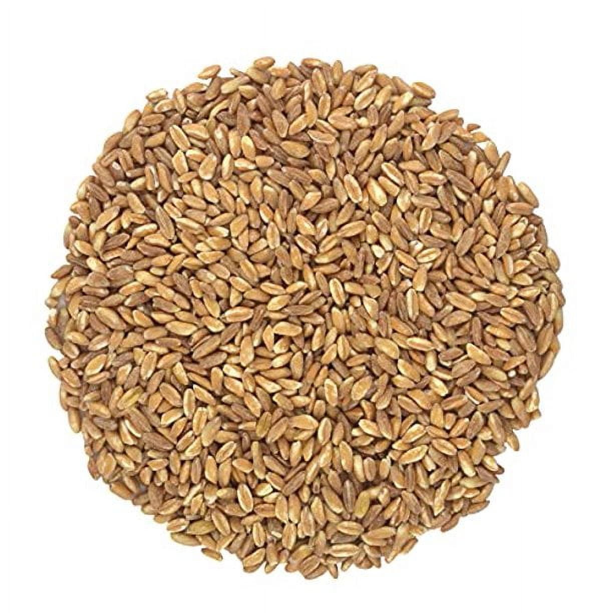 Organic Italian Pearled Farro - Raw, Non-GMO, Vegan, Bulk, Protein ...