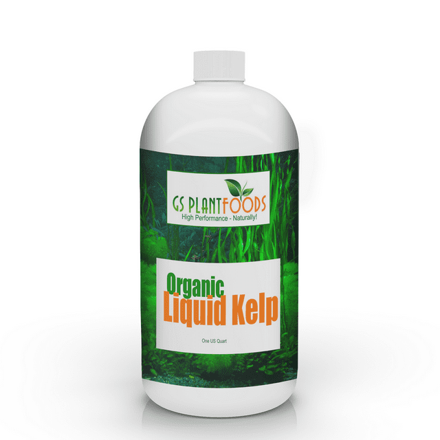 GS Plant Foods Organic Kelp Fertilizer Boost - OMRI Certified, Seaweed ...