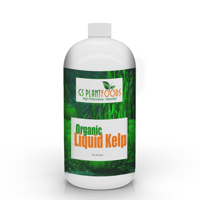 Liquid Kelp Fertilizer Plant The Many Benefits Of Liquid Kelp
