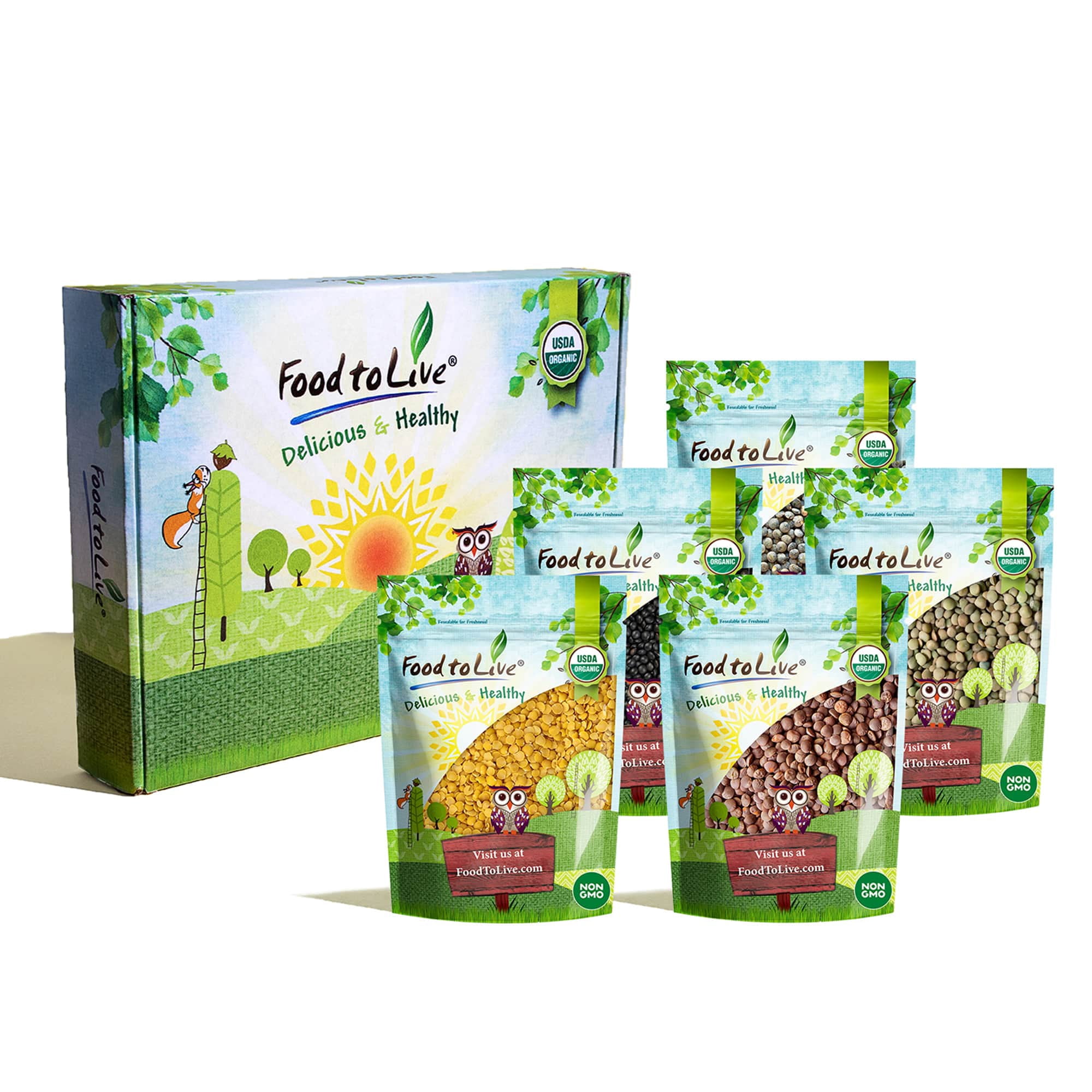 Organic Lentil Variety Set — Gourmet Selection of Premium, Healthy ...