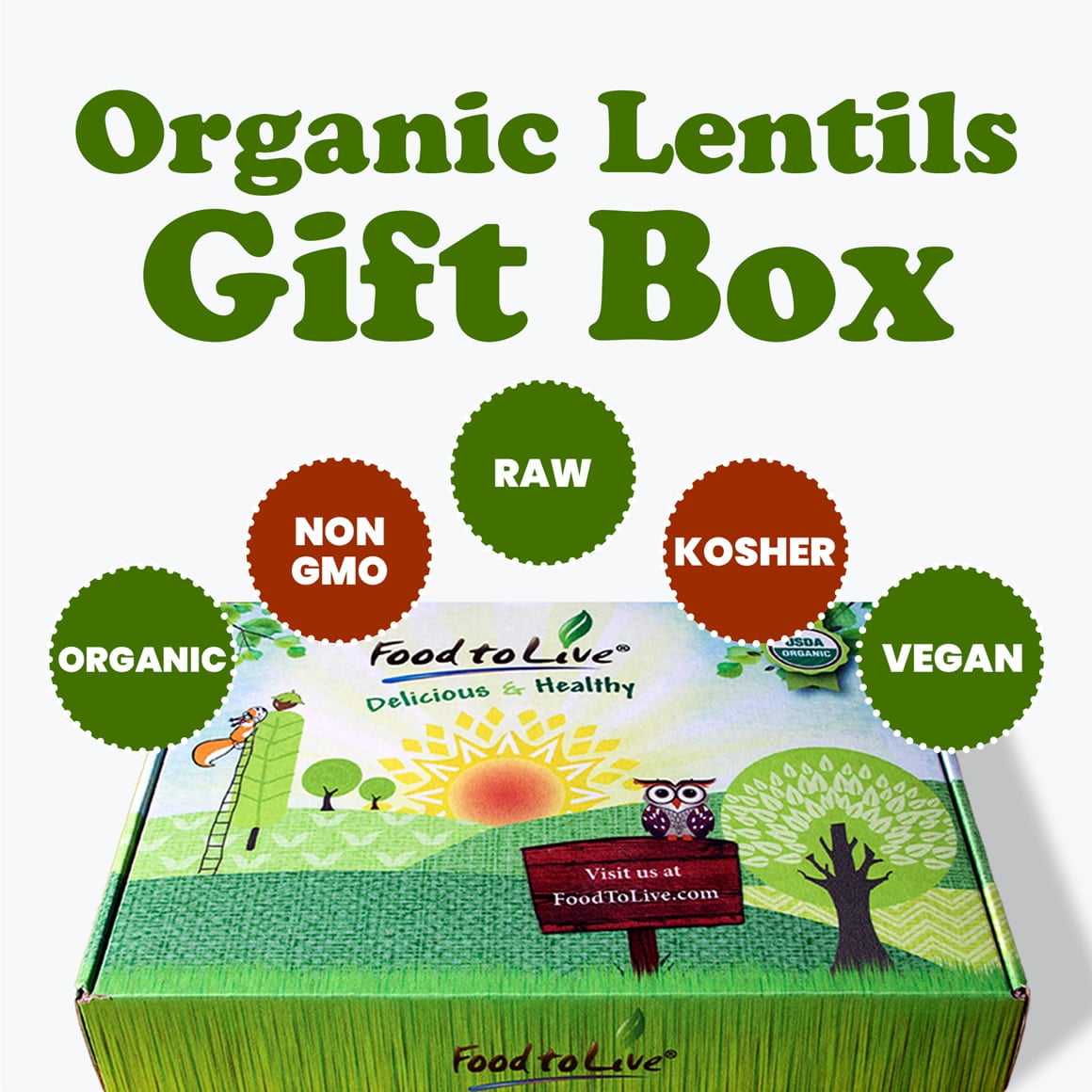 Organic Lentil Variety Set — Gourmet Selection of Premium, Healthy ...