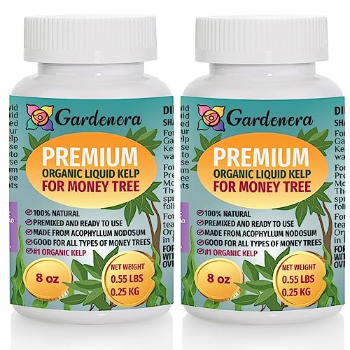 Organic Money Tree Fertilizer by Gardenera - 16 oz - Seaweed Fertilizer ...