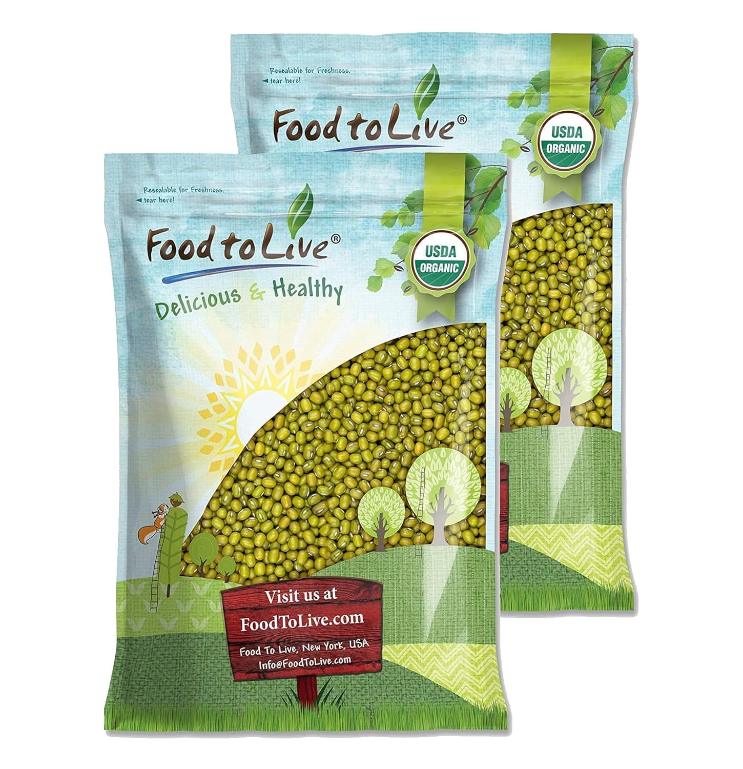 Organic Mung Beans, 25 Pounds – Non-GMO, Kosher, Raw, Sproutable, Vegan ...
