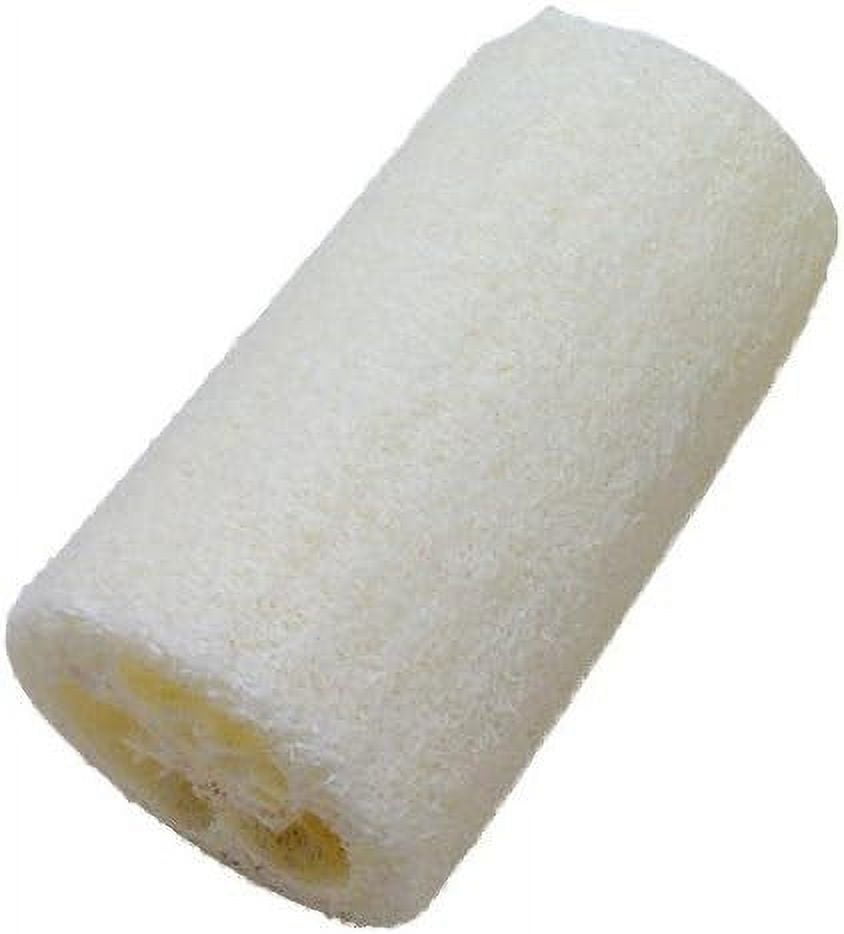 Organic Natural Loofah Sponge (9 Pack), Large 2.95“ Natural Loofah ...