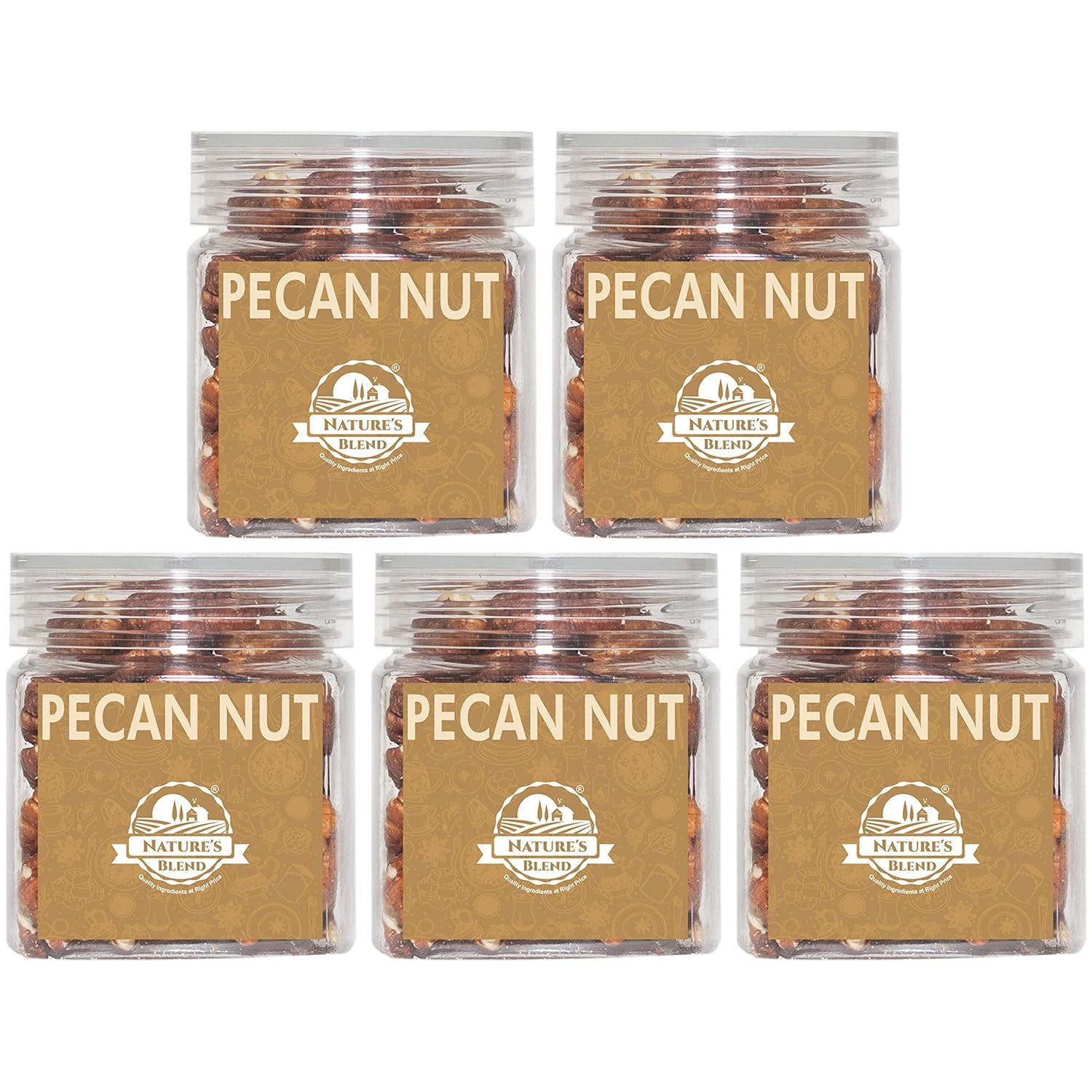 Organic Natural Pecan Nut By Nature'S Blend 500gm, (100gm * 5) | Rich ...