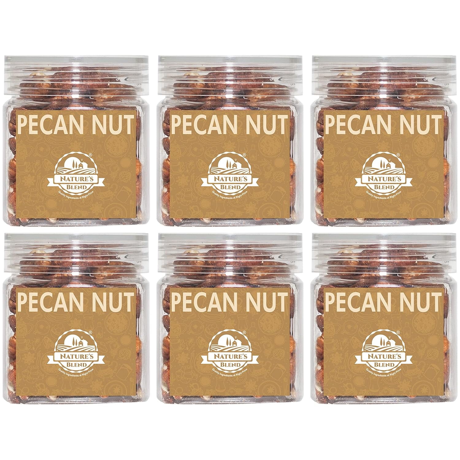 Organic Natural Pecan Nut By Nature'S Blend 600gm, (100gm * 6) | Rich ...