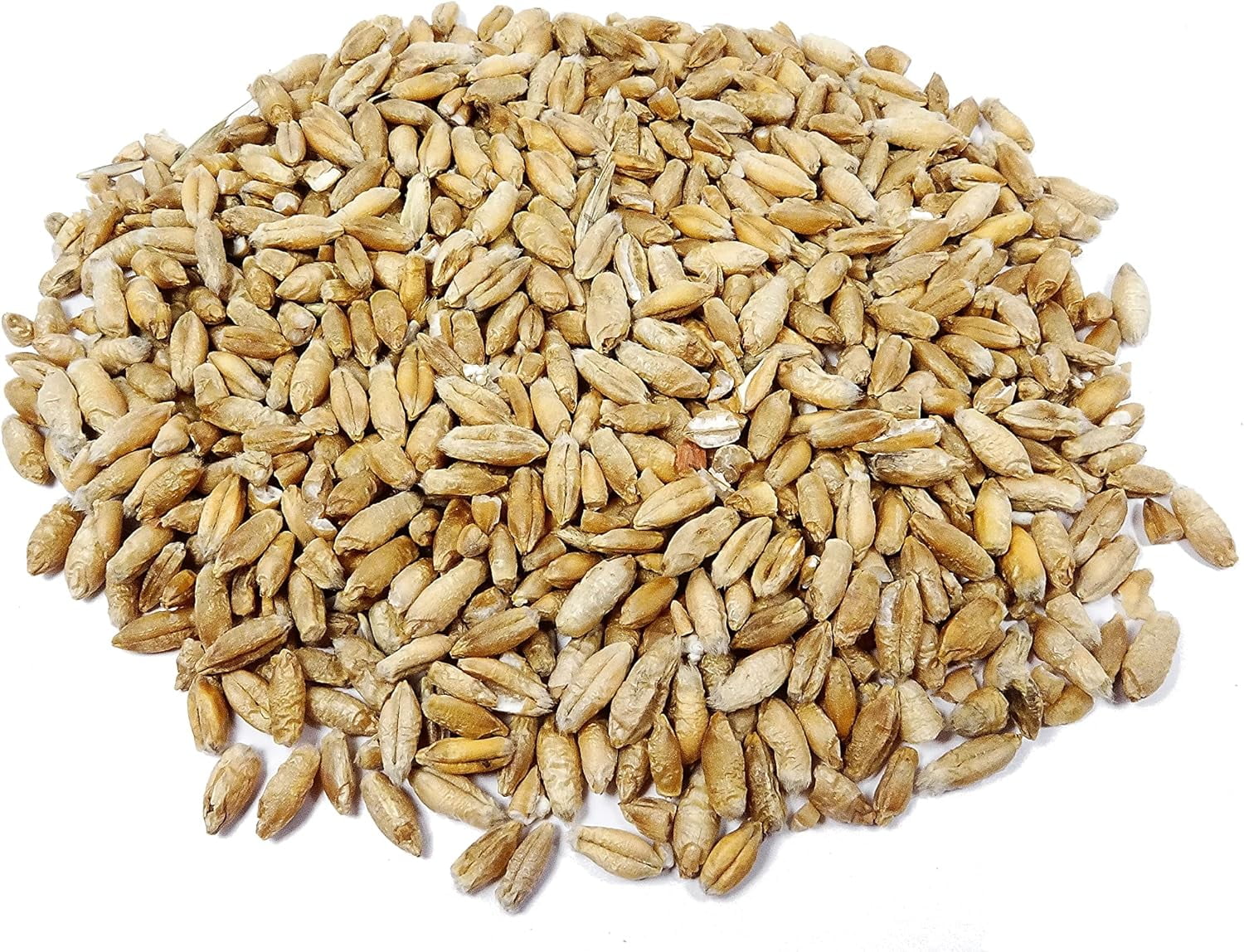 Organic Non-GMO Triticale Seed (10lb) - Walmart.com