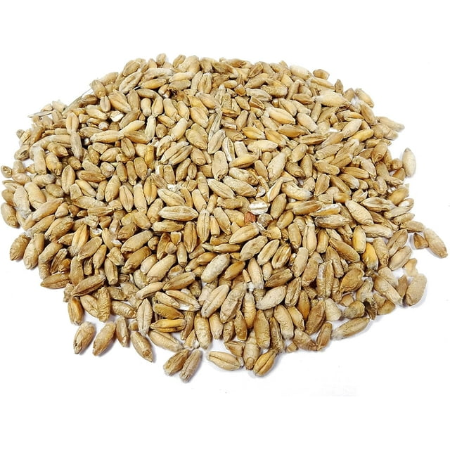 Organic Non-GMO Triticale Seed (10lb) - Walmart.com