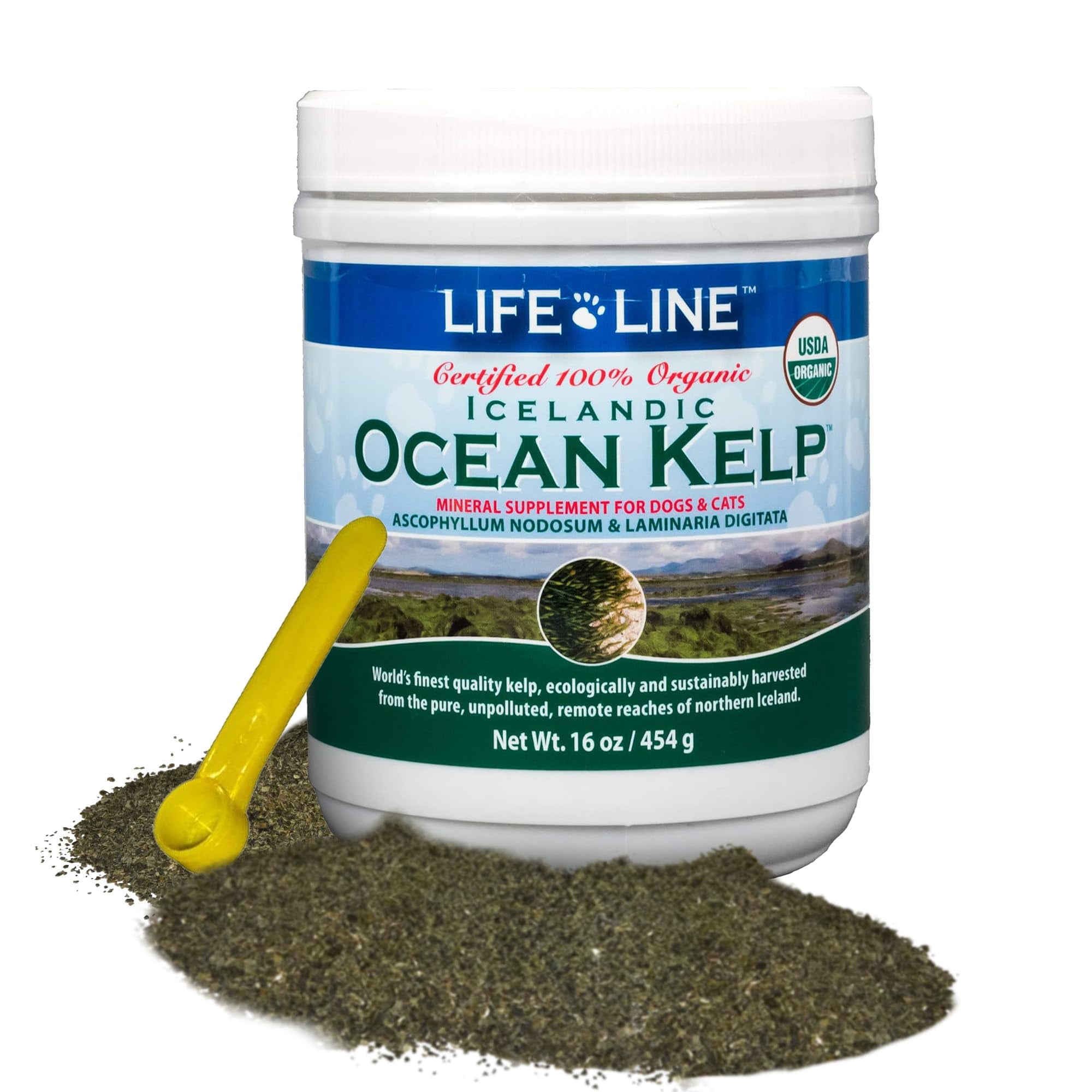 Organic Ocean KELP 16 OZ Canister C65 - Walmart.com