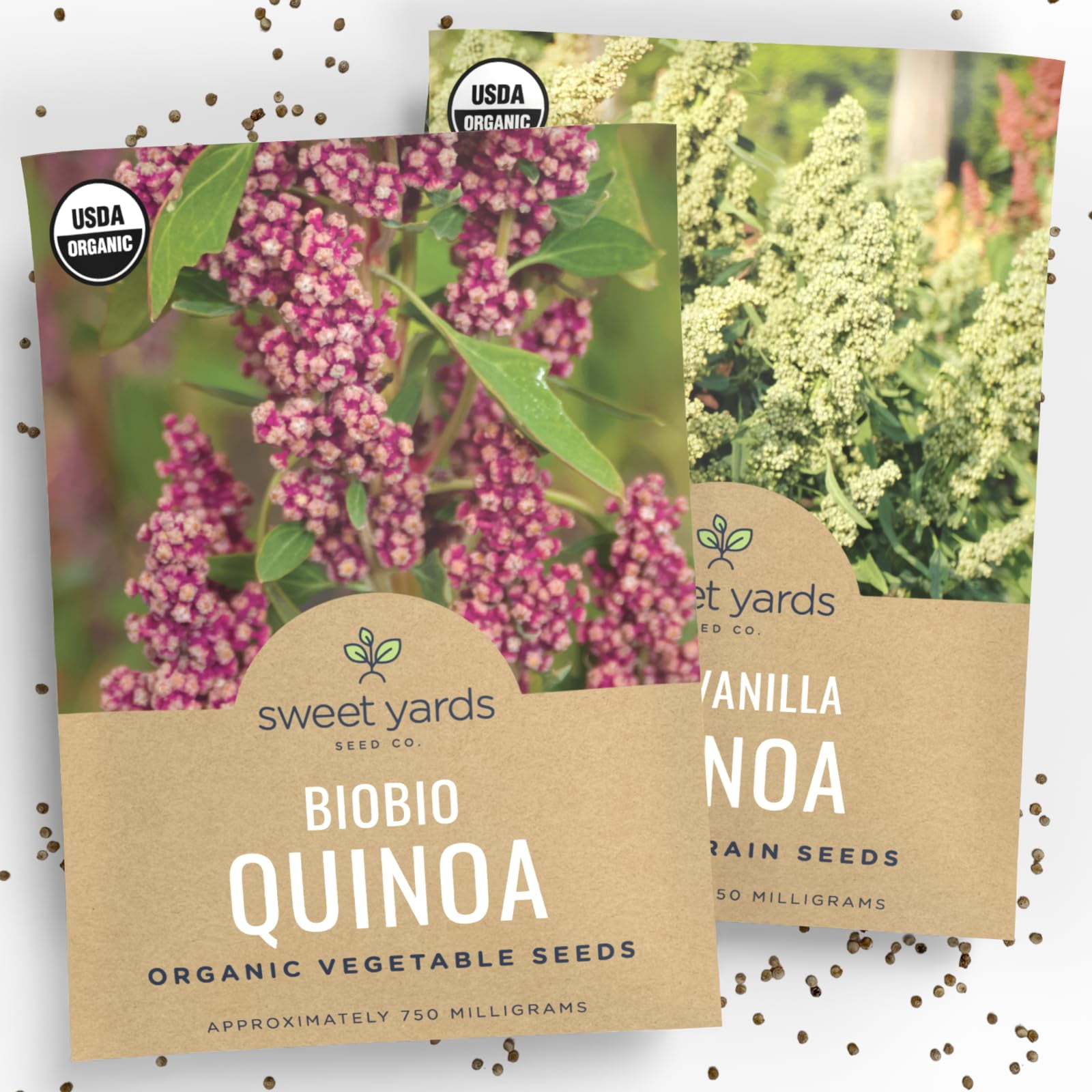 Organic Quinoa Seeds TWE5 Home Garden Variety Pack - Non-GMO USDA ...
