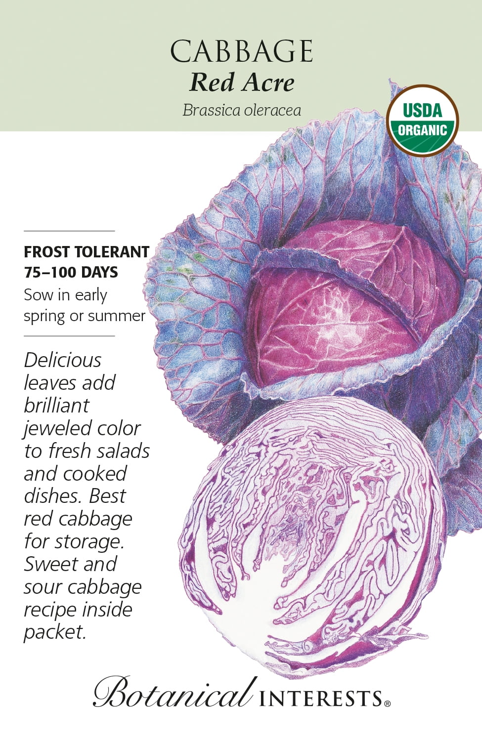 Organic Red Acre Cabbage Seeds - 1.5 grams - Walmart.com