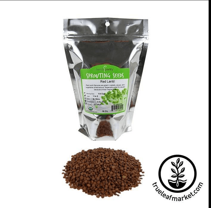Organic Red Lentil Sprouting Seeds -16 Oz - Handy Pantry Brand - Red ...