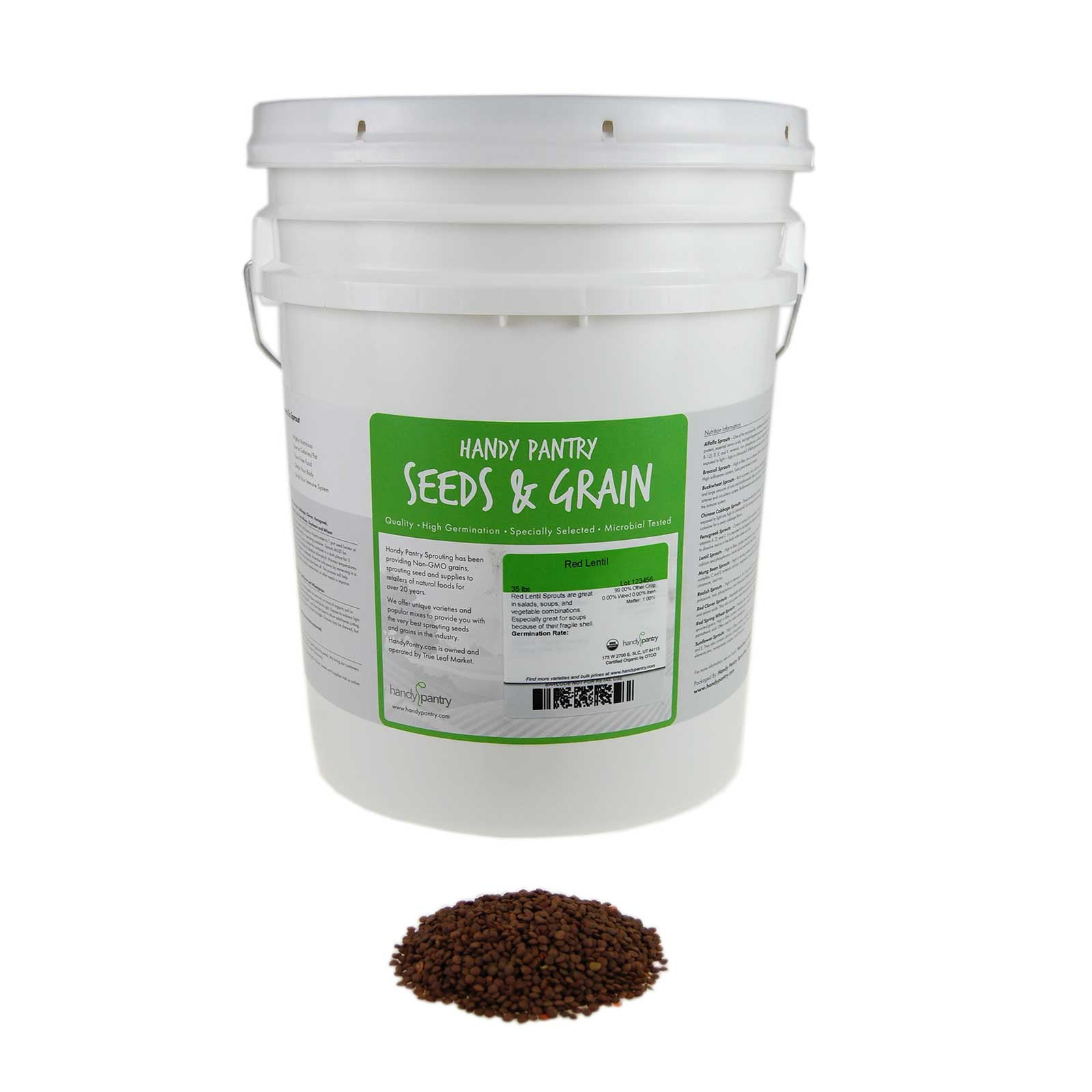 Organic Red Lentil Sprouting Seeds -35 Lbs - Handy Pantry Brand - Red ...