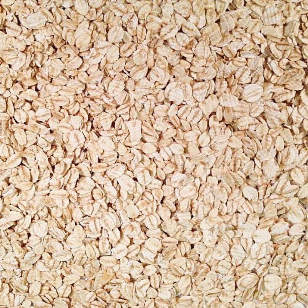 Organic Rolled Oats | 25 lb. Bag | Protein & Fiber-Rich | Easy To ...