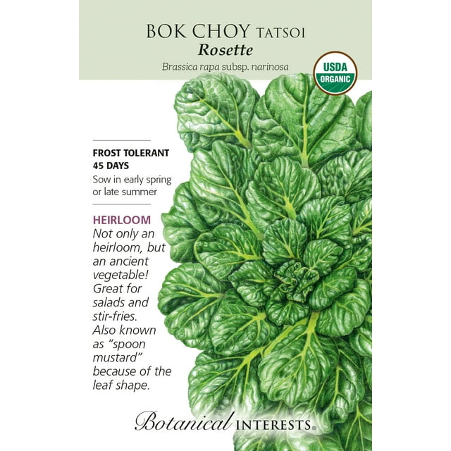Organic Rosette Tatsoi Bok Choy Seeds - 700 Mg - Walmart.com