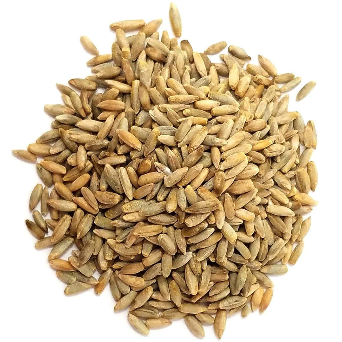 Organic Rye Berries, 20 Pounds - Whole Wheat Grain, Non-GMO, Kosher ...