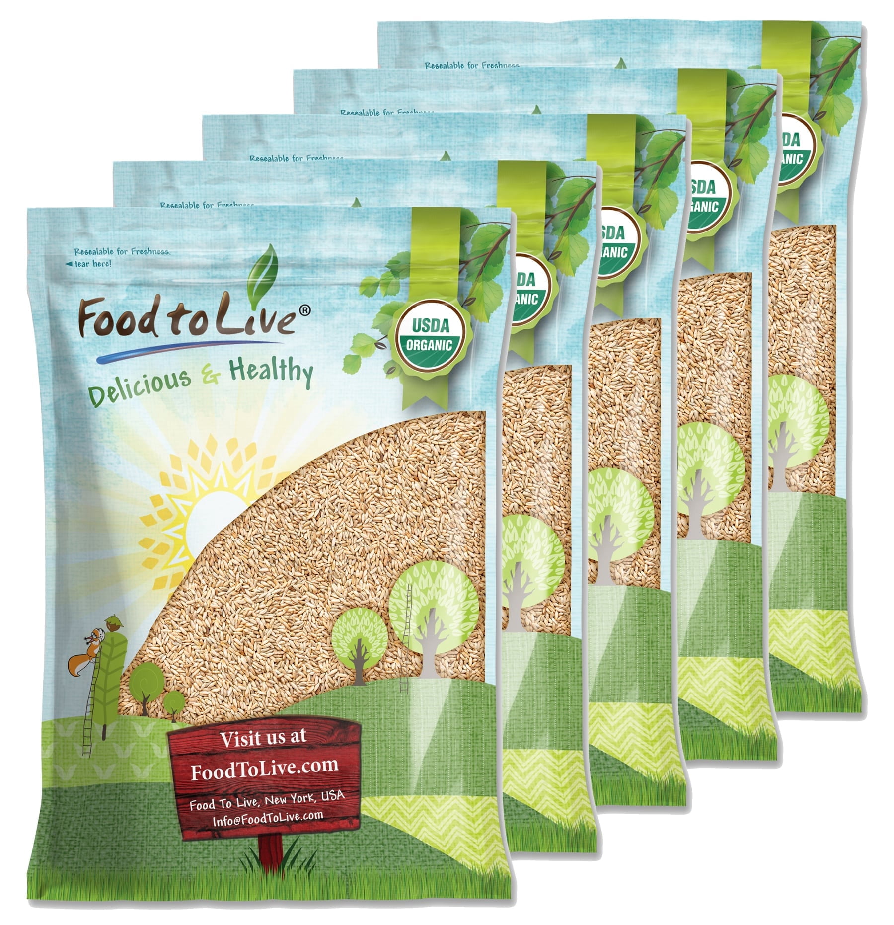 Organic Rye Berries, 50 Pounds - Whole Wheat Grain, Non-GMO, Kosher ...
