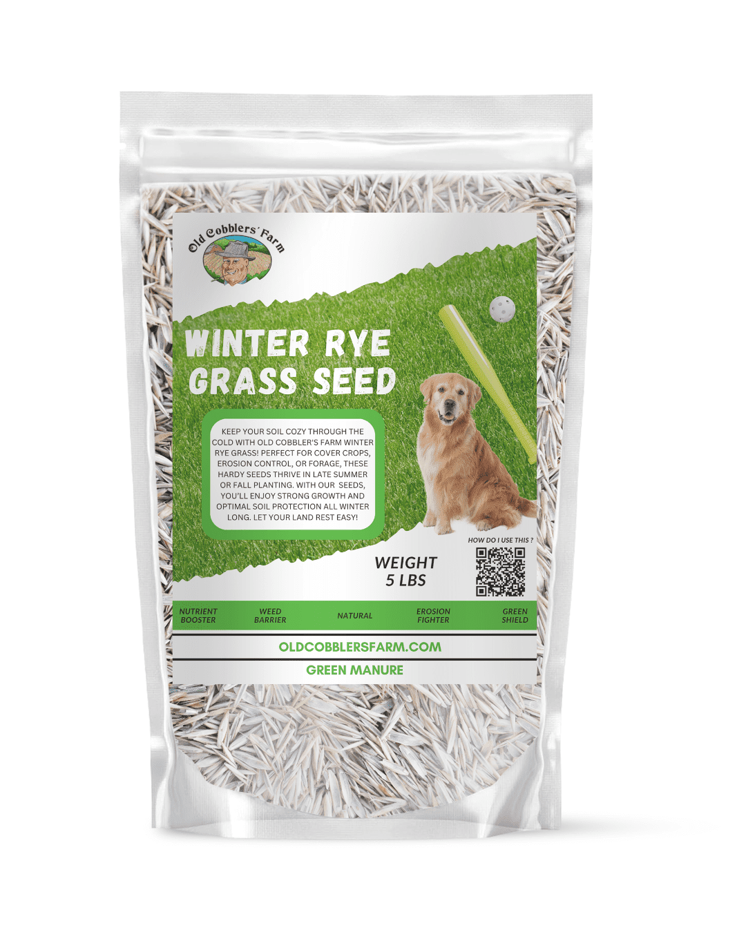 Winter Rye Seeds – The Ultimate Cover Crop for Healthy Soil, Weed ...