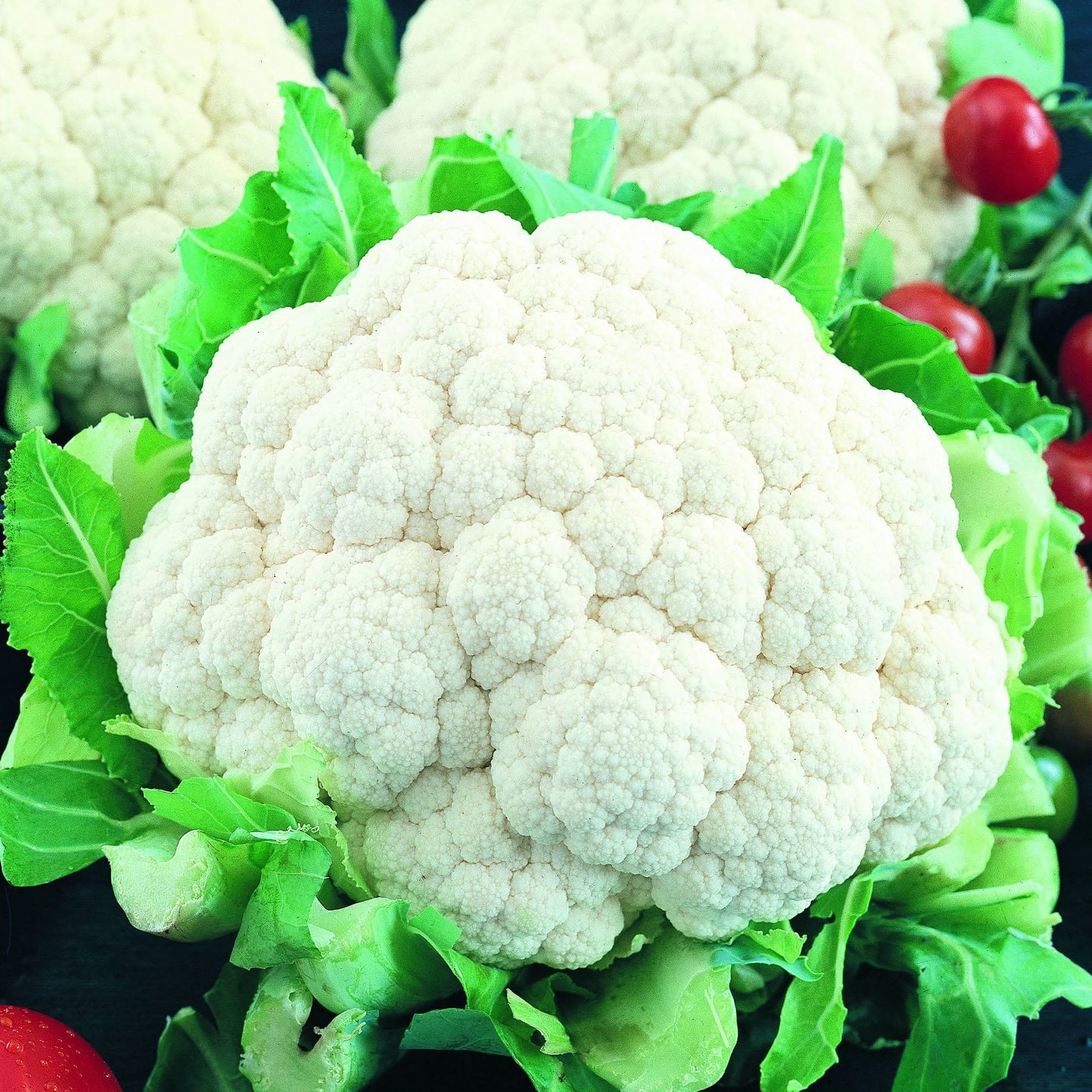 Organic Self Blanching Cauliflower Seed - 1/4 LB Bulk ~36,000 Seeds ...
