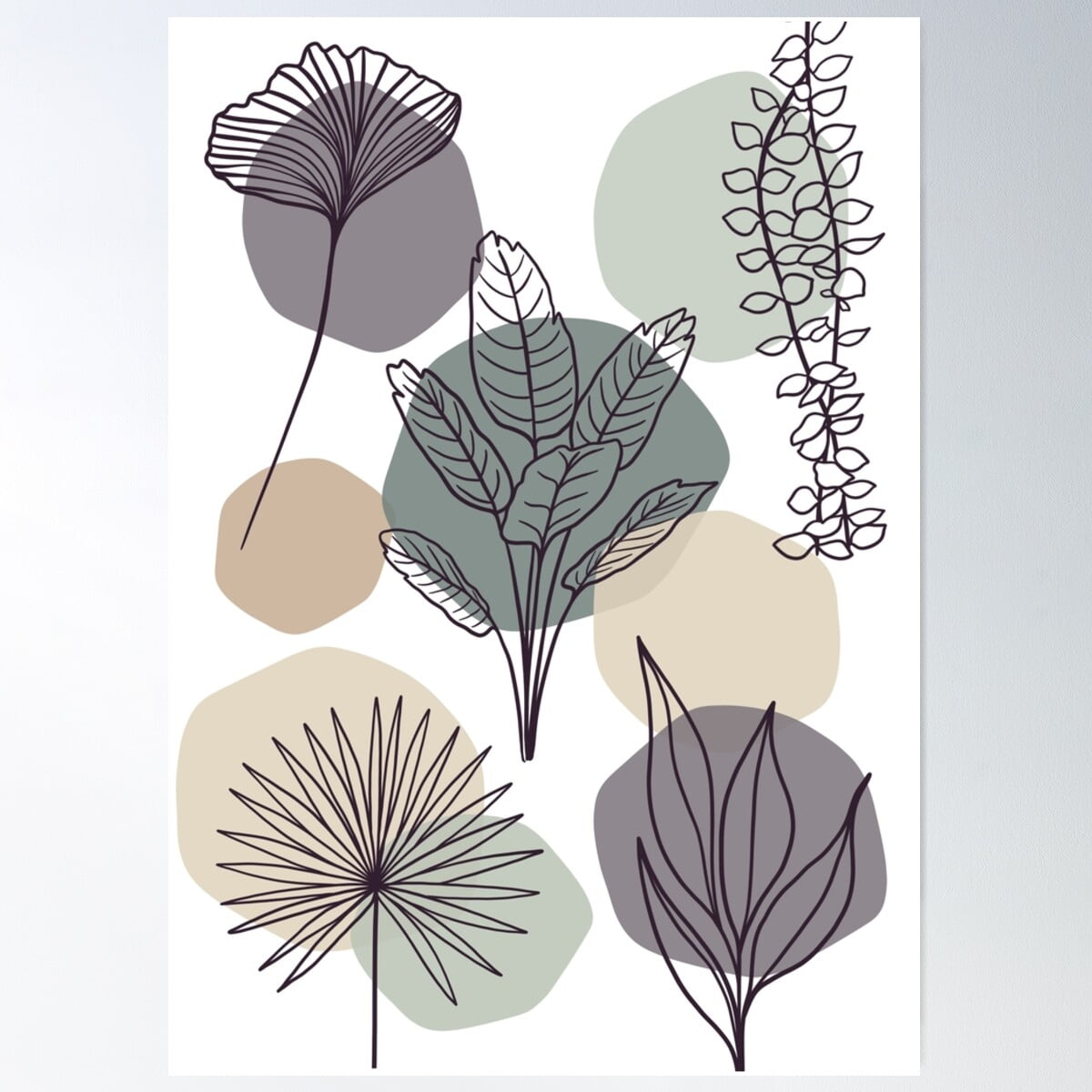 Organic Shapes - Botany Poster Wall Art, Modern Wall Decor For Living ...