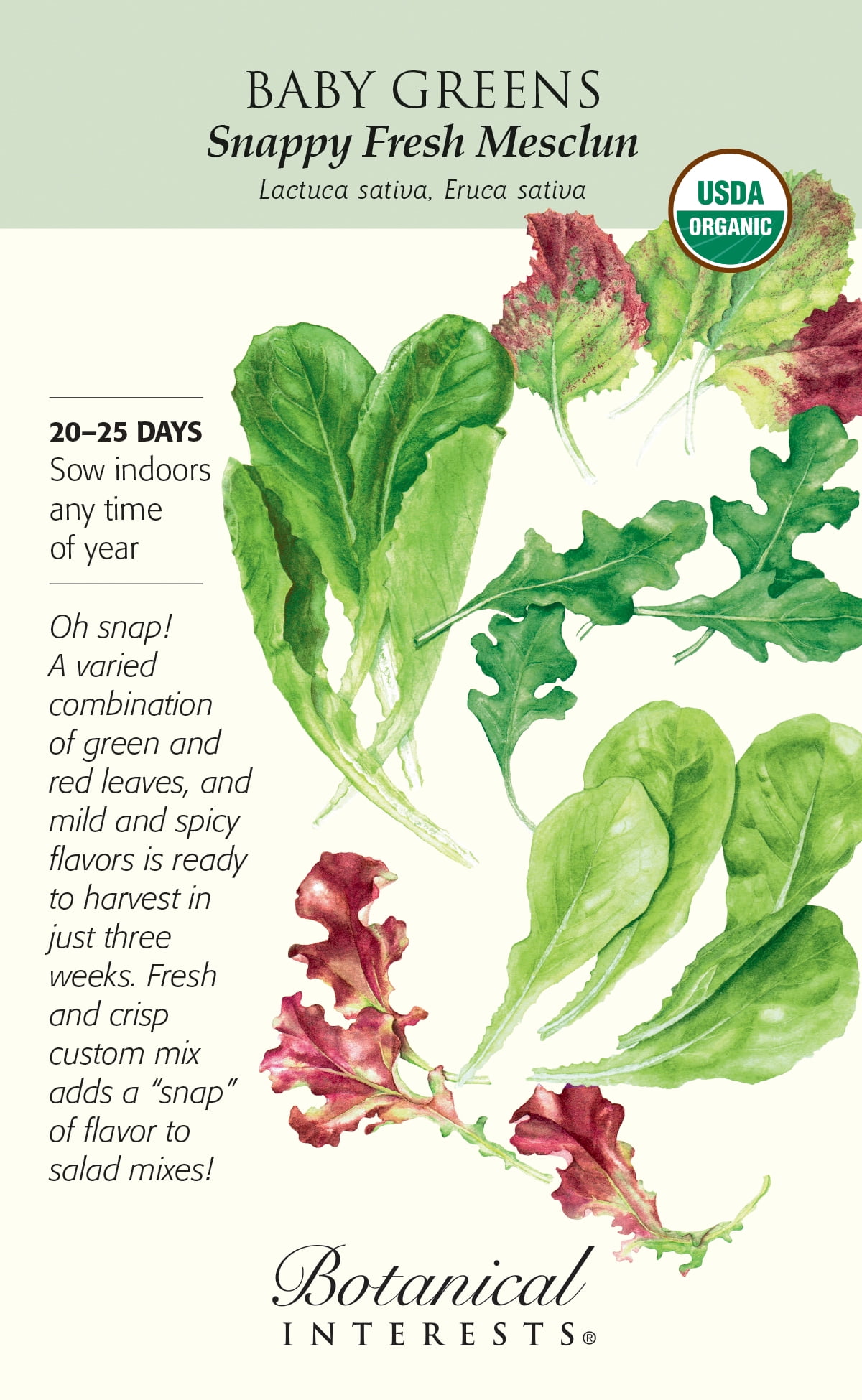 Organic Snappy Fresh Mesclun Baby Greens Seeds - 5 grams - Walmart.com