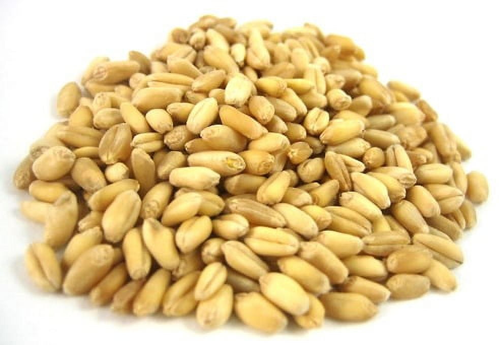 Organic Soft Wheat Kernels - Walmart.com