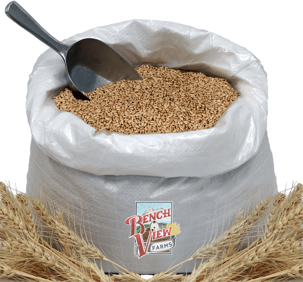 Organic Soft White Wheat Berries - 24lbs - Walmart.com