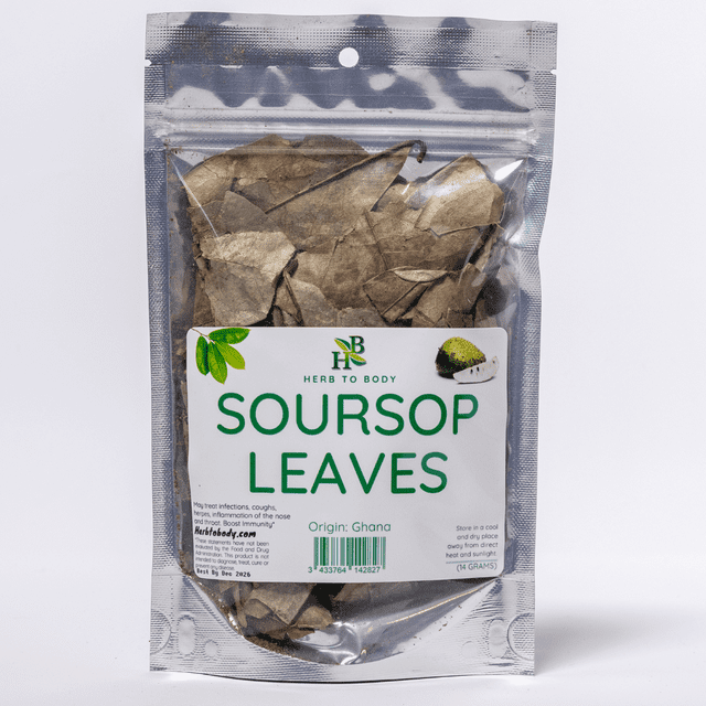 Herb To Body Organic Soursop (Guanabana) Leaves, Graviola Fruit Leaves ...