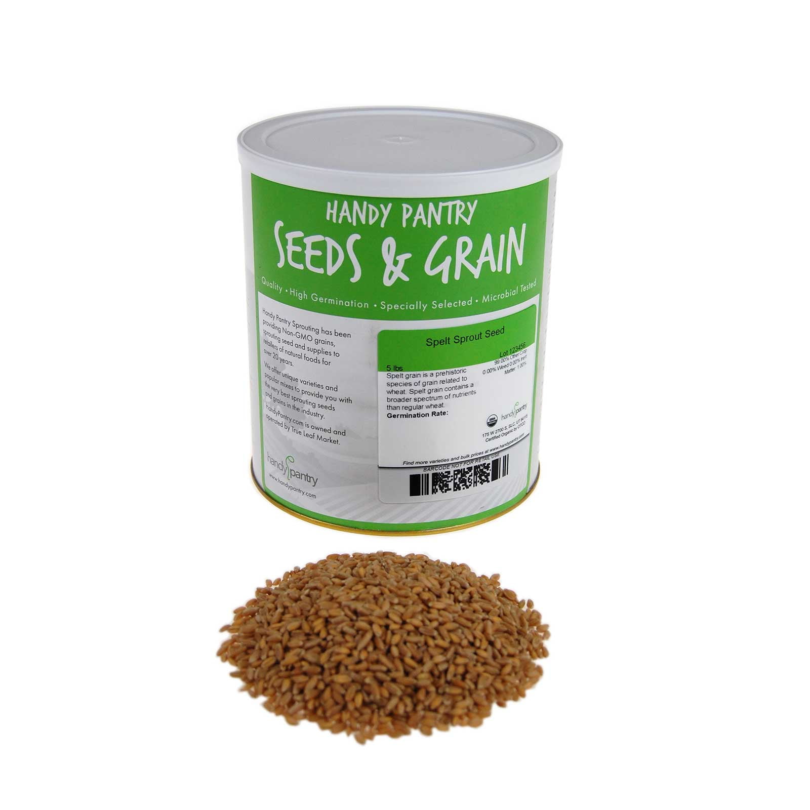 Organic Spelt Grain Seeds: 5 Lbs - Non-GMO, For Baking, Cooking, Food ...