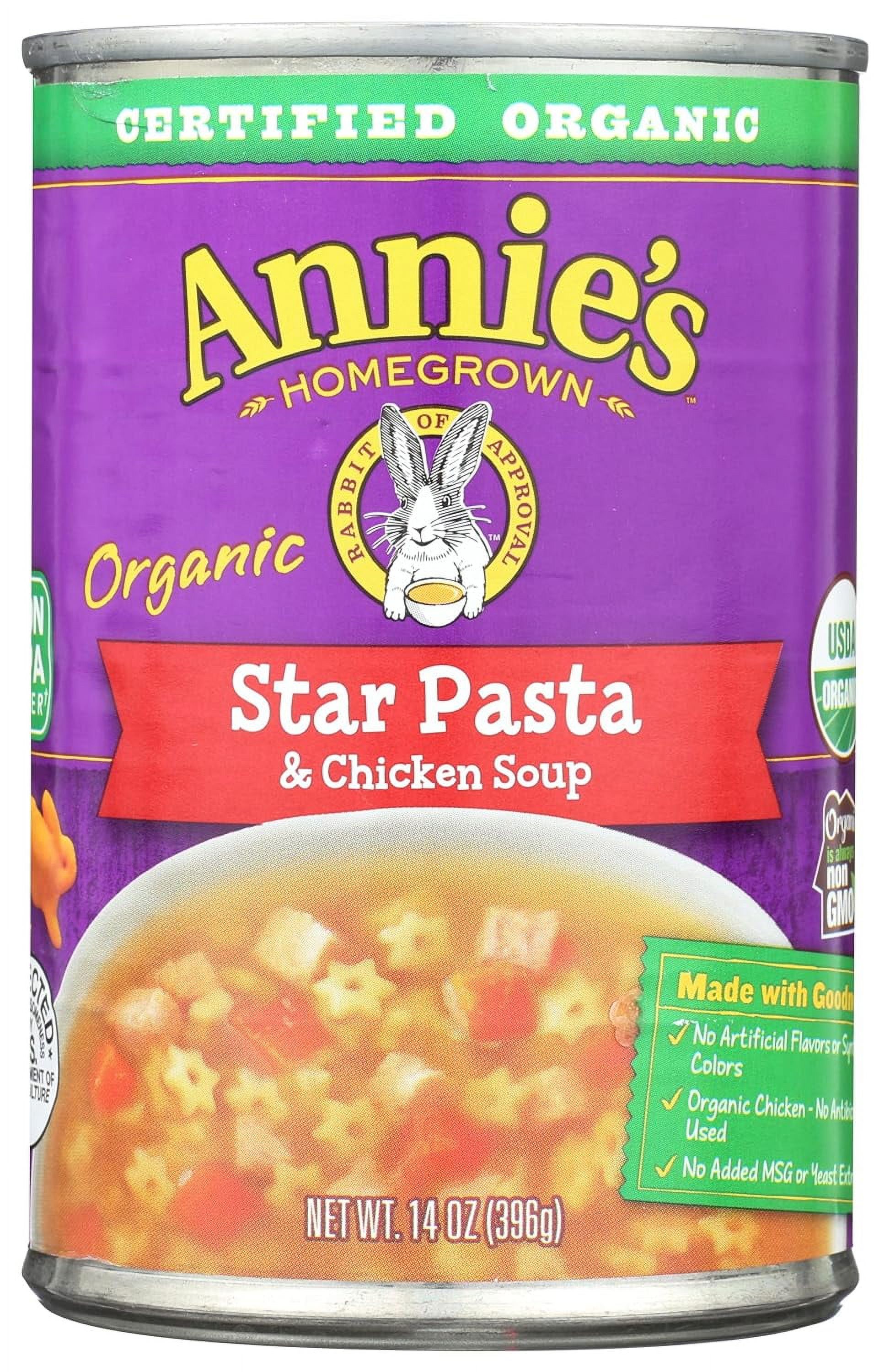 Organic Star Pasta and Chicken Canned Soup, Ready To Serve, 14 oz (Pack ...