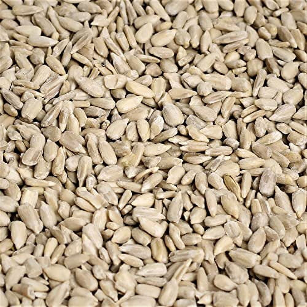 Organic Sunflower Seeds by It’s Delish, 10 lbs Bulk | Unsalted ...