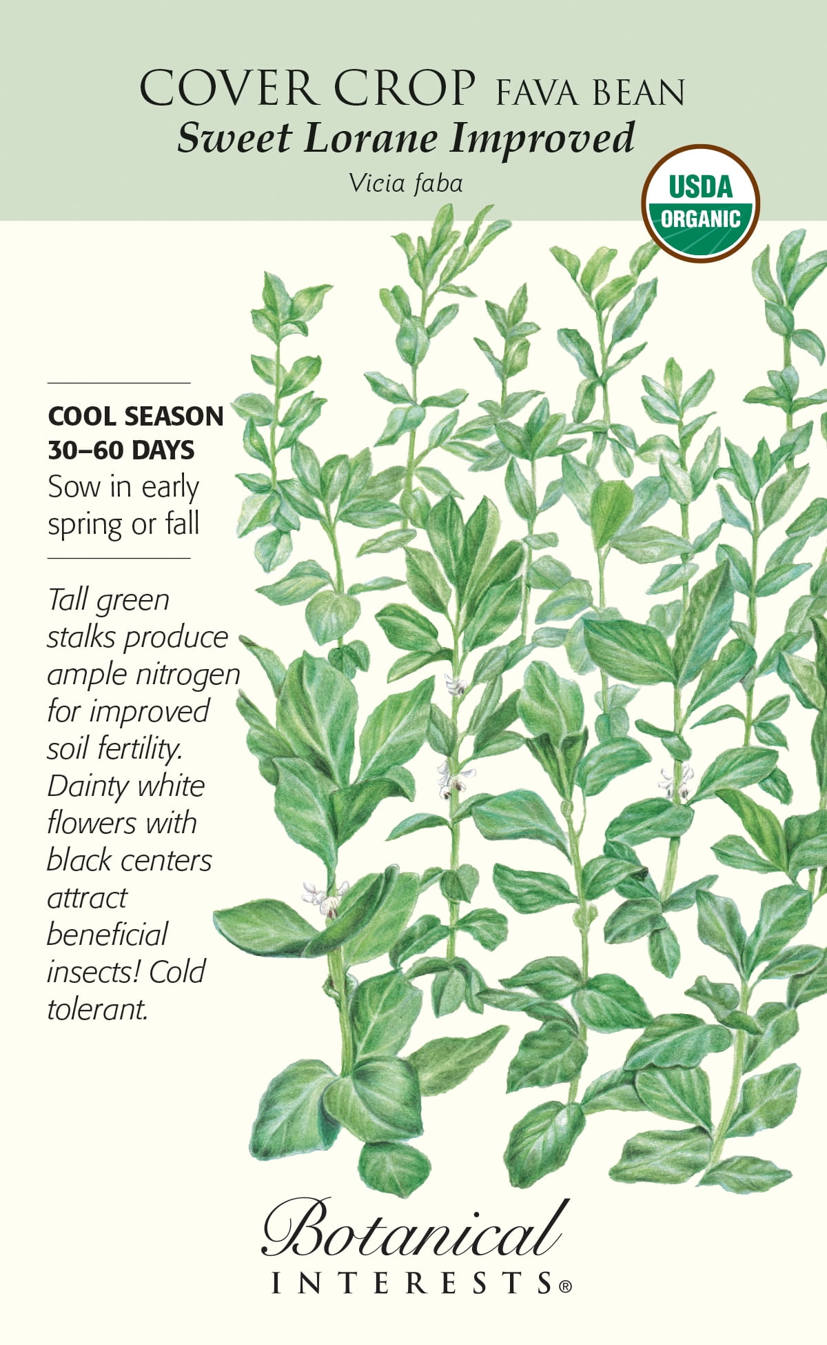 Organic Sweet Lorane Improved Cover Crop Fava Bean Seeds - 40 grams ...