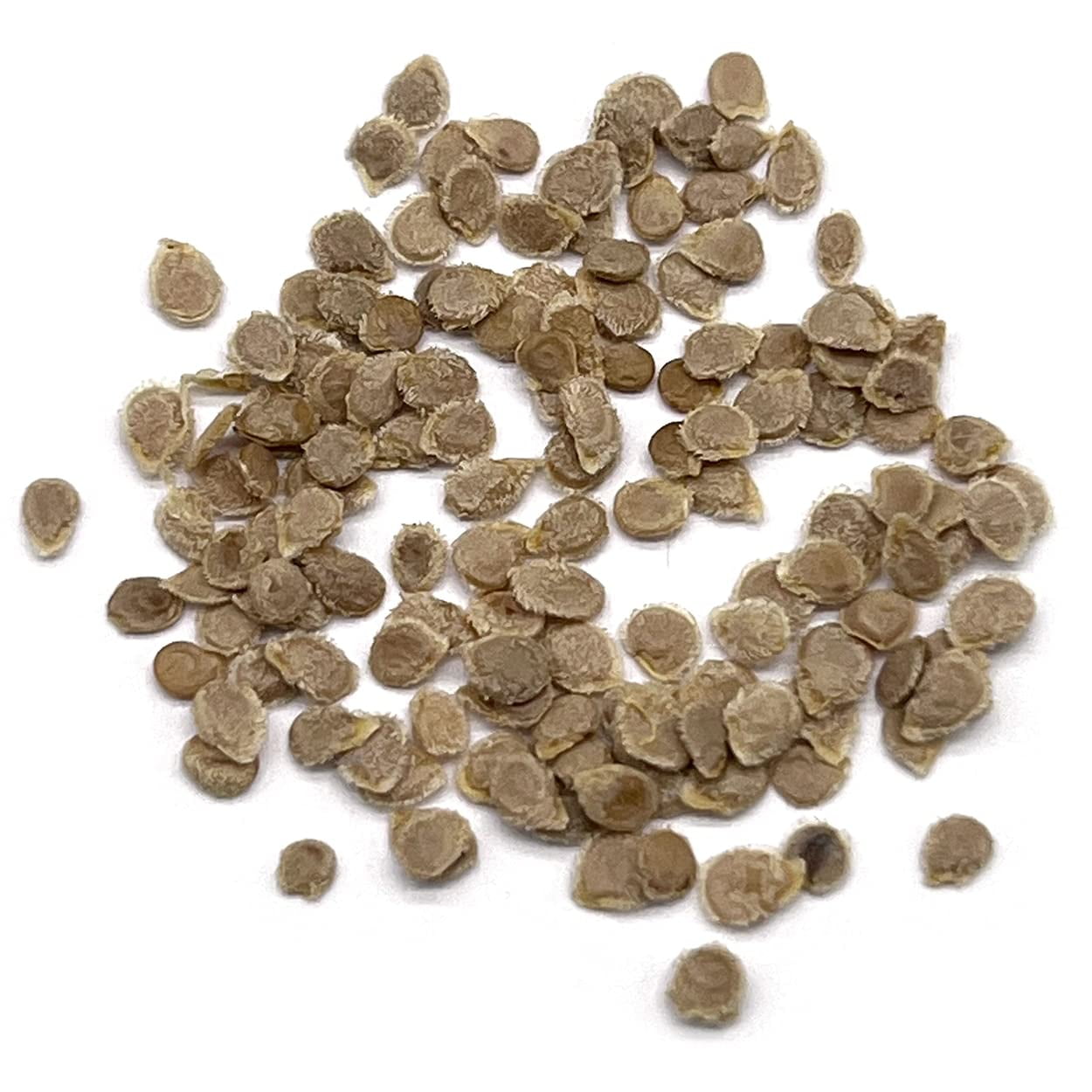 Organic Tomato Seeds FEV6 (Roma) - Approx 75 Seeds - USDA Organic, Non ...