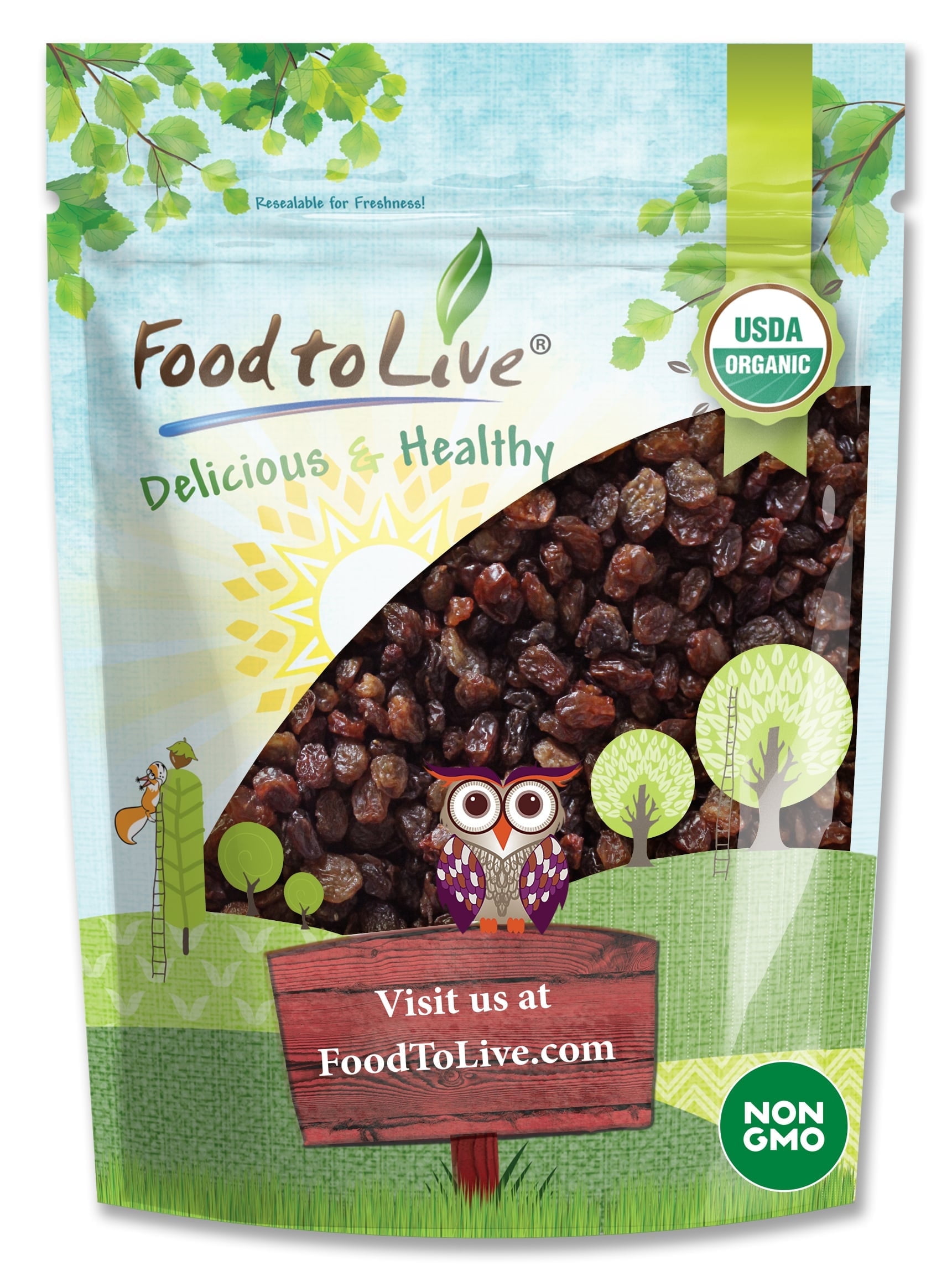 Food to Live Turkish Thompson Seedless Raisins 1 Pound - Raw Vegan ...