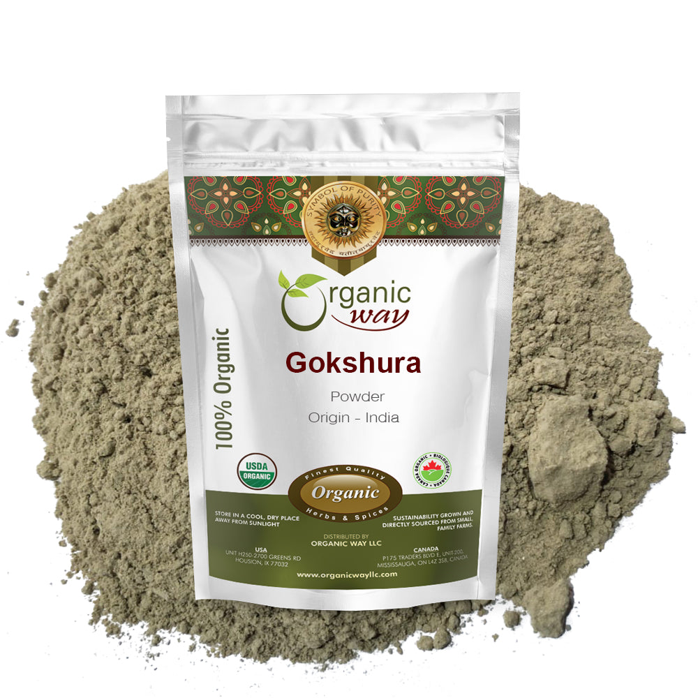 Kelp Powder, Organic - Walmart.com