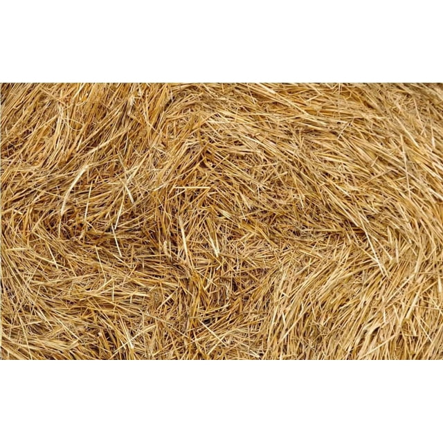 Premium Organic Wheat Straw - Natural, Ideal for Gardening, Animal ...