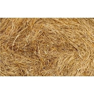 Rhino Seed Garden EZ Straw Seeding Mulch, 1 Cu Ft Bale with Tack ...