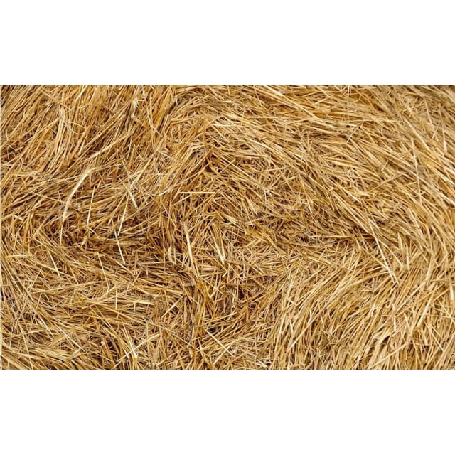 100% Natural Organic Wheat Straw - Perfect for Gardening, Animal ...