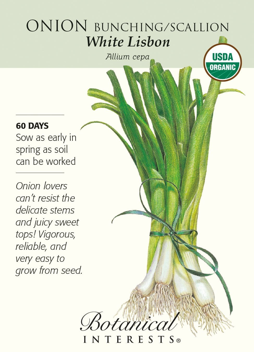 Organic White Lisbon Bunching/Scallion Onion Seeds for Fresh Produce ...