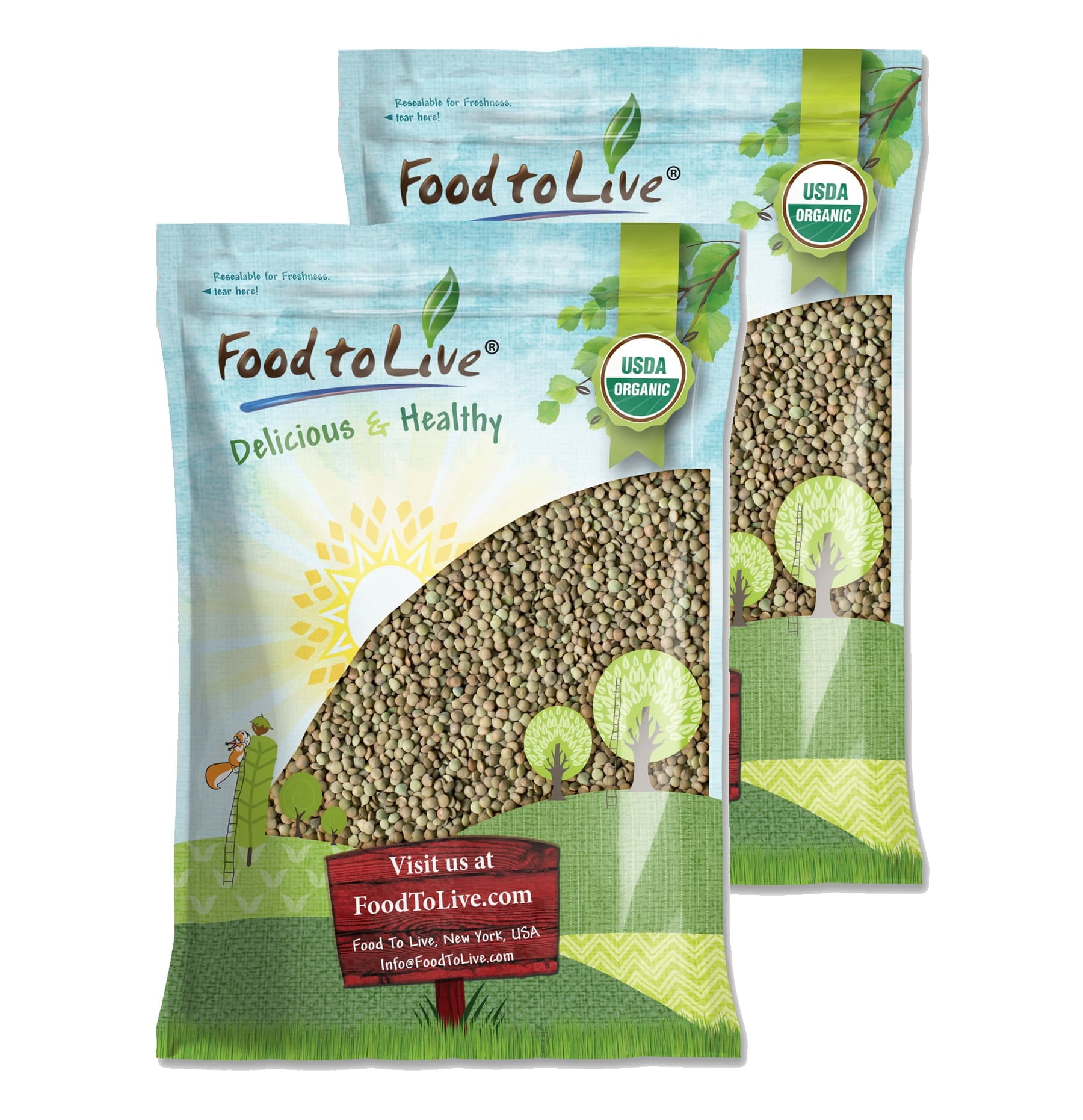 Organic Whole Green Lentils, 25 lbs -- Non-GMO, Kosher, Vegan - Walmart ...