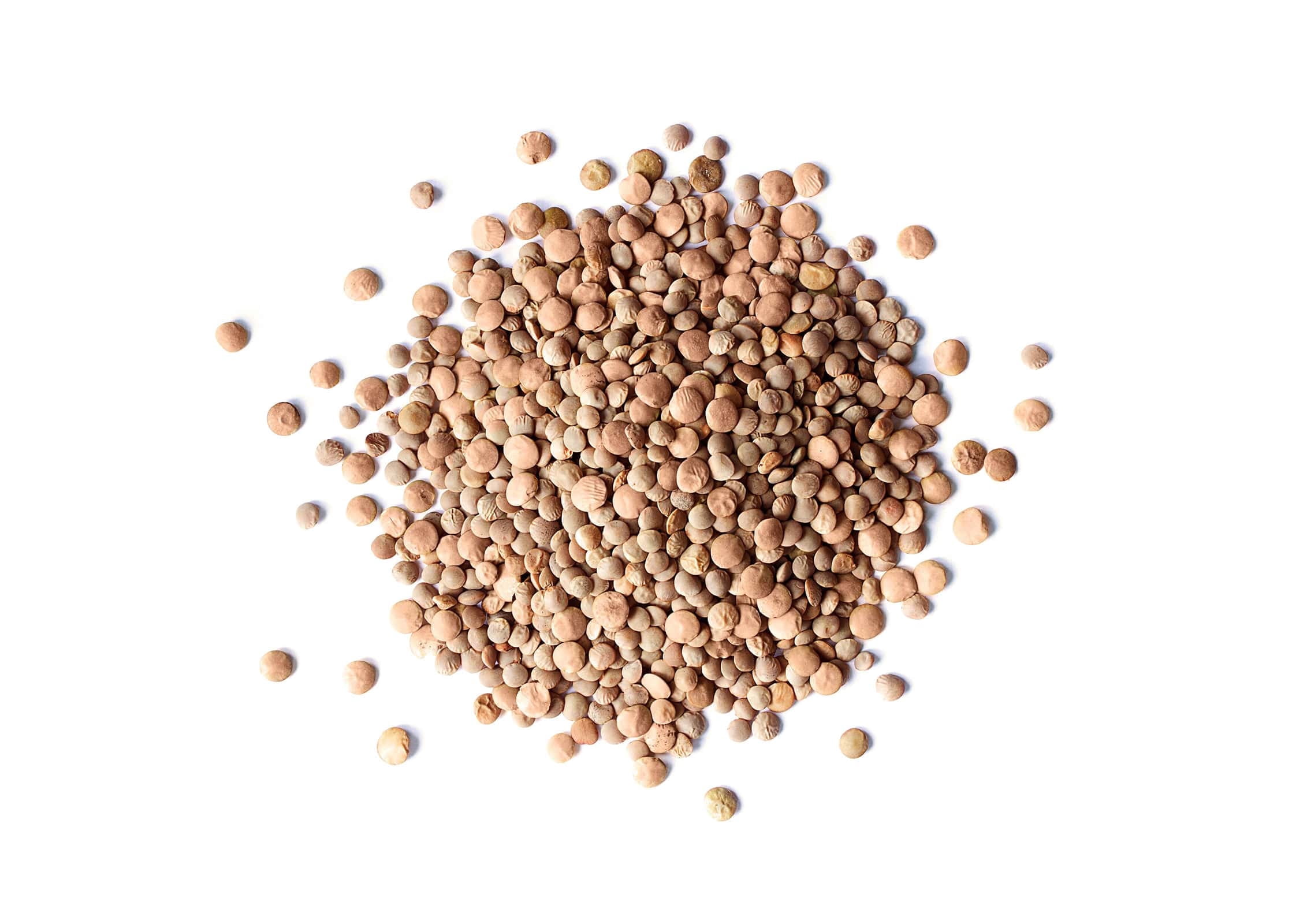 Organic Whole Red Lentils, 20 Pounds — Non-GMO, Sproutable, Kosher, Raw ...