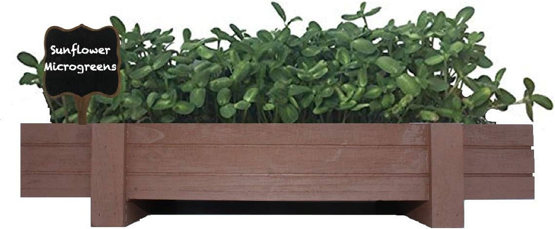 Organic s Growing Kit with Beautiful Wooden Countertop Planter, Wonder ...