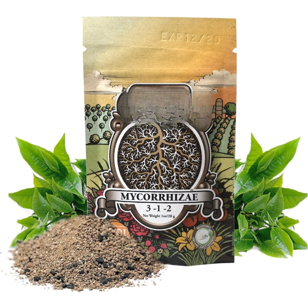 Organics Granular Mycorrhizae Plant Food Fertilizer - Mycorrhizal Fungi ...