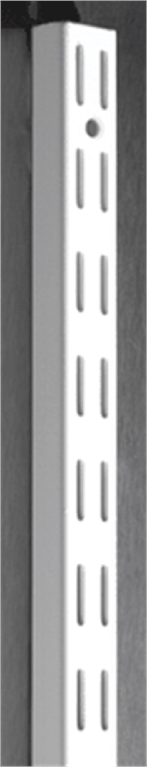 Organized Living Freedom Rail 94-1/4 in. L Steel Wall Mount Upright ...