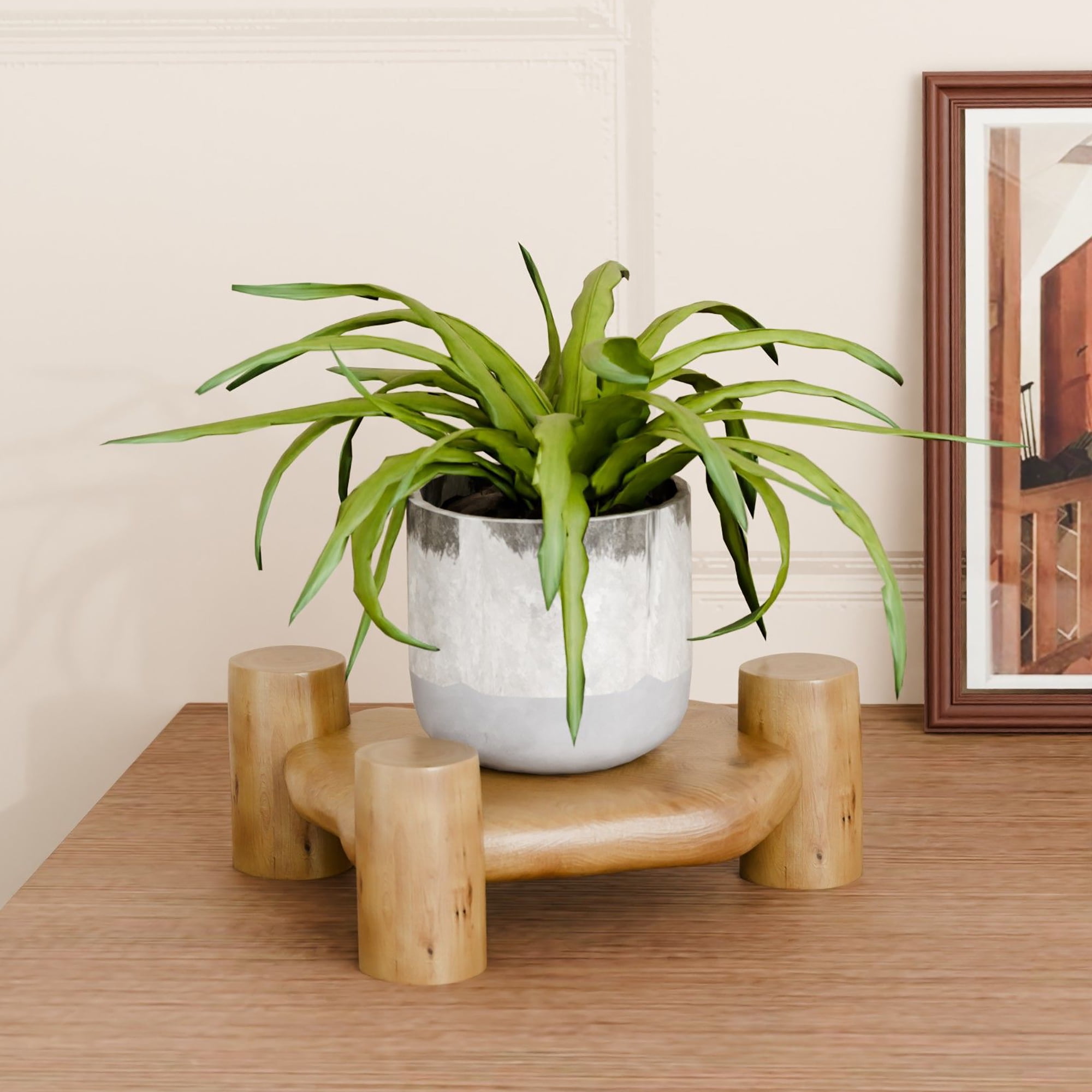 Organizedlife Natural Cedar Irregularly Patterned Nature Table Top ...